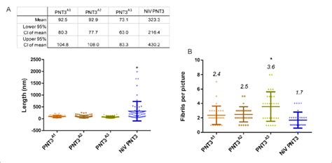 Fibril Length Of Eyyy Variants A For Each Variant Statistics On