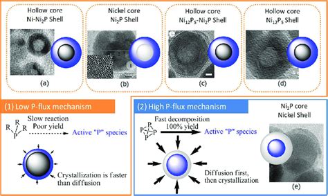 Hollow And Coreshell Structures Obtained In The NiP System In A Ref