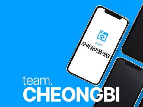 앱 개발의 전문가 비즈니스를 위한 스마트한 선택 프로그램개발 모바일앱 재능 제작의뢰