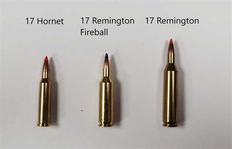 17 Caliber Rifle Cartridges 17 Rimfire Rifle Accuracy Test Results
