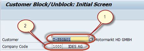 SAP FICO Central How To Block Or Delete A Customer