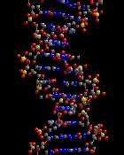  Biology Animated  On Er By Chillredeemer