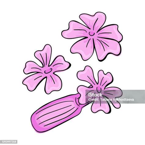 핑크 꽃의 벡터 세트 향수 비누 화장품 약초 아로마 테라피 에센셜 오일과 관련된 제품 포장을위한 그래픽 인쇄 흰색 배경에 고립