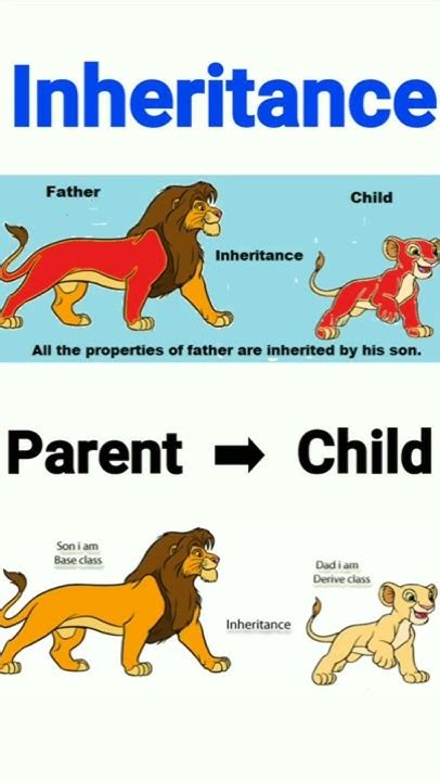 What Is Inheritance In Oops 🔥 Inheritance Class And Object Shorts Inheritance Oops Youtube
