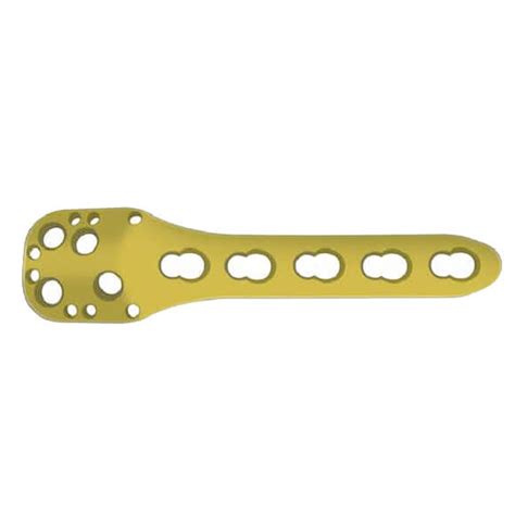 Proximal Humerous Plate With Locking System GSTC Com