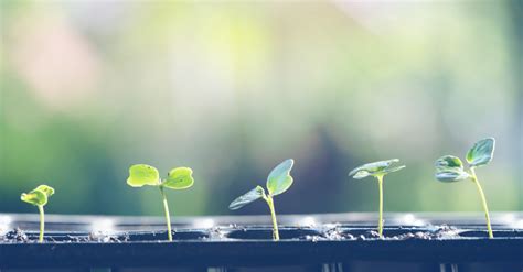 Ngss Science How To Get Started • Sadler Science