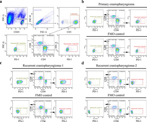 Flow Cytometry Analysis Of Tumour Infiltrating Lymphocytes In Primary Download Scientific