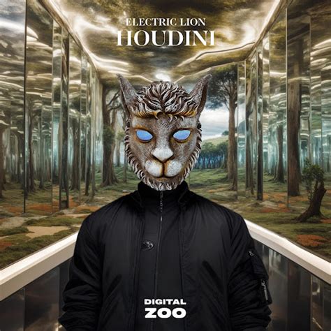 Houdini Youtube Music