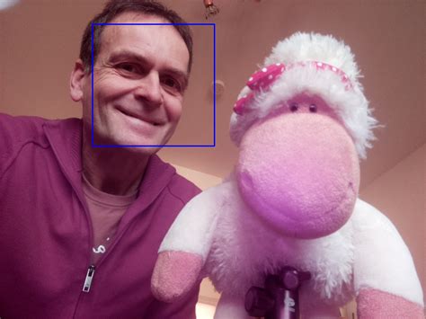 Cam Noir Auf Raspberry Pi 3 Mit Opencv Gesichtserkennung Künstliche Intelligenz 3d Druck