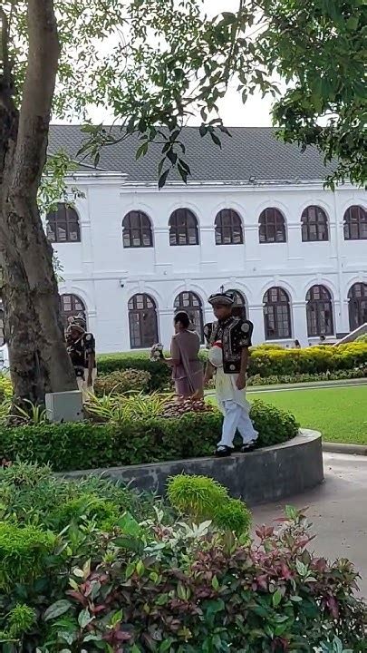 පුංචි නිලමේ Youtube