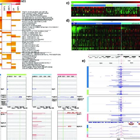 Barbara Eichhorst University Of Cologne Köln Uoc Division Of Haematology Immunology
