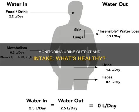 Monitoring Urine Output And Intake Whats Healthy Medshun