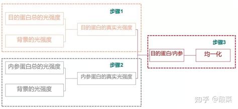 Image J是最常用的western Blot定量方法详解image J软件分析图片灰度状态表达的方法及步骤 知乎