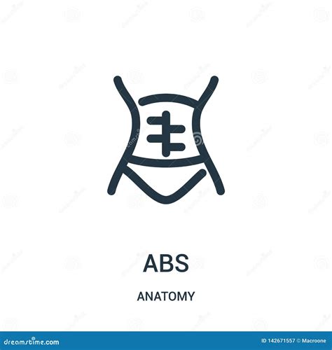 Abs Icon Vector From Anatomy Collection Thin Line Abs Outline Icon Vector Illustration Stock