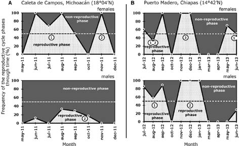 Frequency And Period Months Of The Non Reproductive Phase Download Scientific Diagram