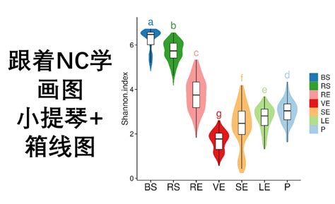 结构方程模型 自动计算效应值 Leo朵