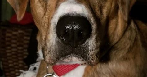 Prometheus Album On Imgur