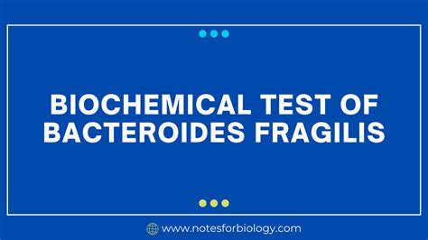Bacteroides Fragilis Biochemical Test