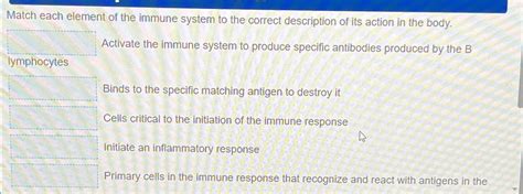 solved determine whmatch each element of the immune system