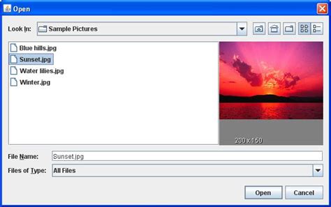 Nirav Ravals Blog For Java Developer Image Preview In Jfilechooser