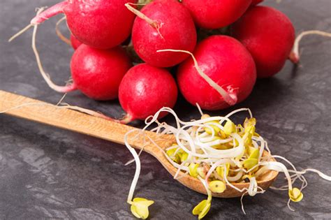 무 콩나물 소스 천연 비타민과 미네랄 건강 한 라이프 스타일과 영양 개념 0명에 대한 스톡 사진 및 기타 이미지 0명 건강한 식생활 광물질 Istock