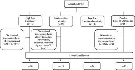 Flowchart Of Participants Recruited Into The Feasibility Study