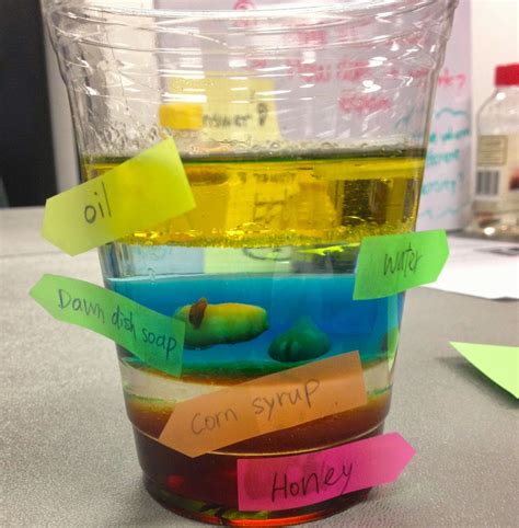 Density Column Experiment Worksheet At Jamie Mealmaker Blog
