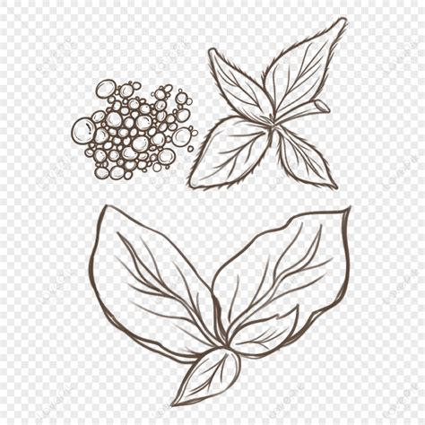 Mint Drawing Images Hd Pictures For Free Vectors Download