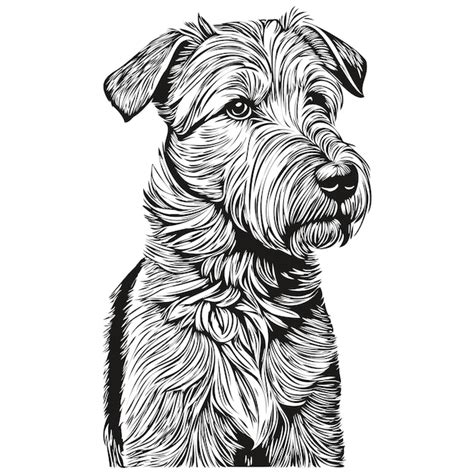 레이크랜드 이미지 Freepik에서 무료 다운로드