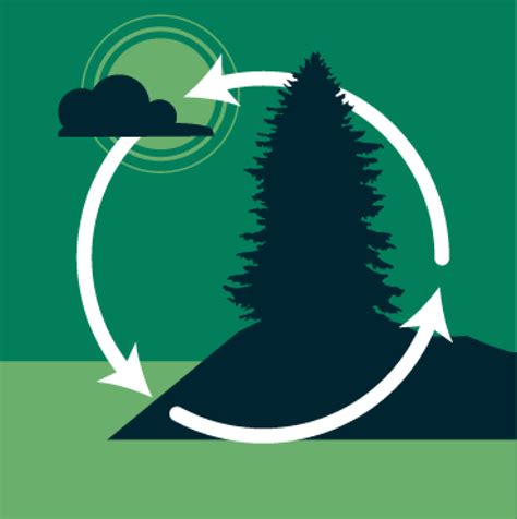 Biogeochemistry Data Theme Nsf Neon Open Data To Understand Our Ecosystems