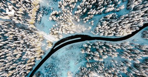 눈 덮인 나무와 강의 공중보기 사진 Unsplash의 무료 바이센제 이미지