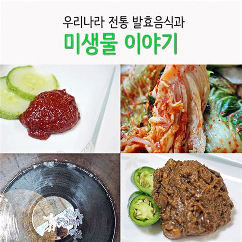 우리나라 전통 발효음식과 미생물 이야기 네이버 블로그