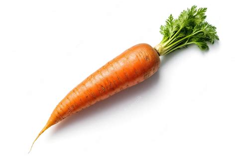Premium Photo Carrot Isolated On White Background