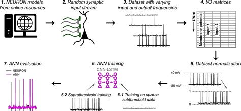 Figures And Data In Ultrafast Simulation Of Large Scale Neocortical Microcircuitry With