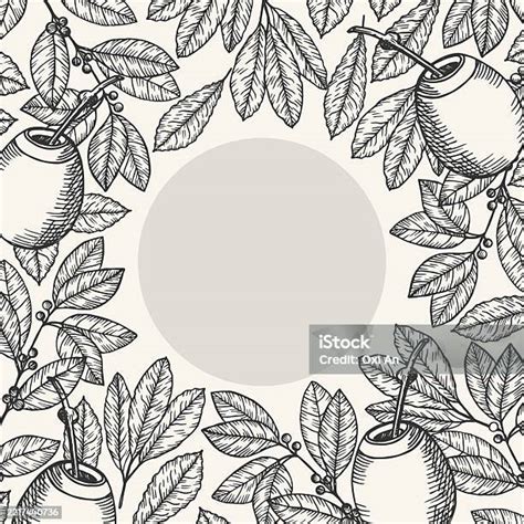 텍스트에 대한 Yerba Maté 카드 손으로 그린 테두리에는 차 가지 잎 호박 호리병박 과일이 새겨져 있습니다 벡터 식물 그림 로고 라벨 템플릿 인쇄 식품음료약용 식물