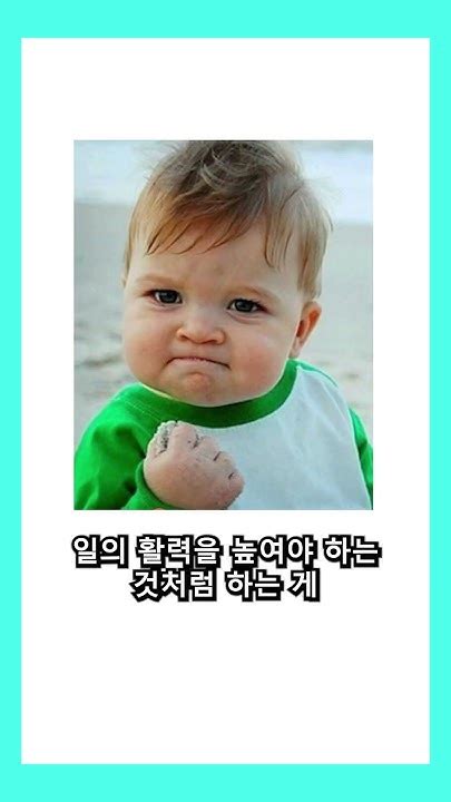 줄기세포란 무엇일까 Youtube