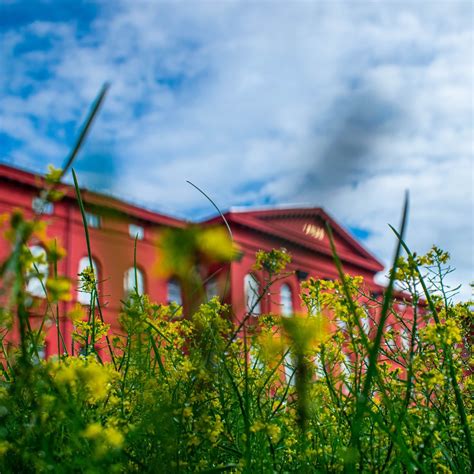Газета "Київський університет"