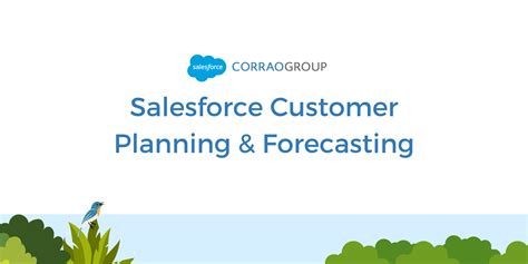 Introducing Salesforce Customer Planning And Forecasting