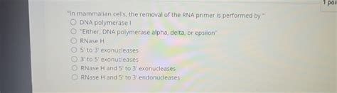Solved In Mammalian Cells The Removal Of The Rna Primer Is
