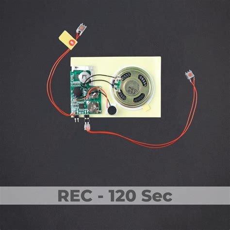 Push Button Sound Module Rec 120 Sec BigDAWGS Greetings