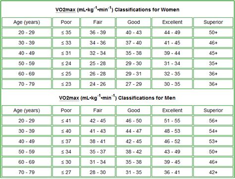 My Experience Getting A VO Max Running Test And The Results