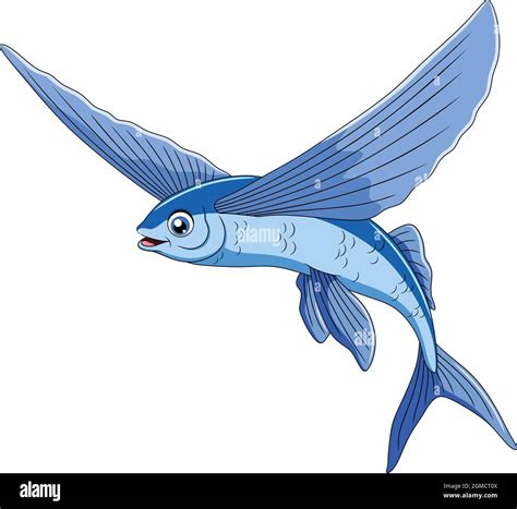 Flying Fish Clip Art Flying Fish Stock Illustrations 13125 Flying