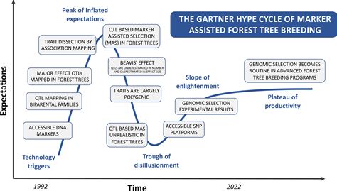 Forests Free Full Text Twelve Years Into Genomic Selection In