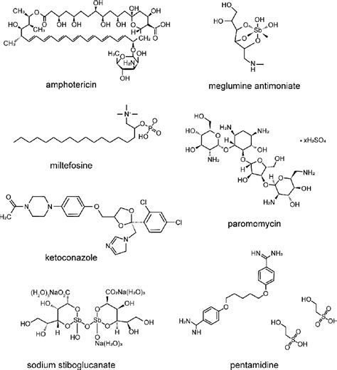 Figure 1 From The Polyamine Pathway As A Potential Target For