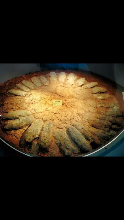 Natures Porter Fossilsworld • Instagram Photos And Videos