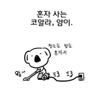 만화로 보는 세상 코알랄라 전자신문