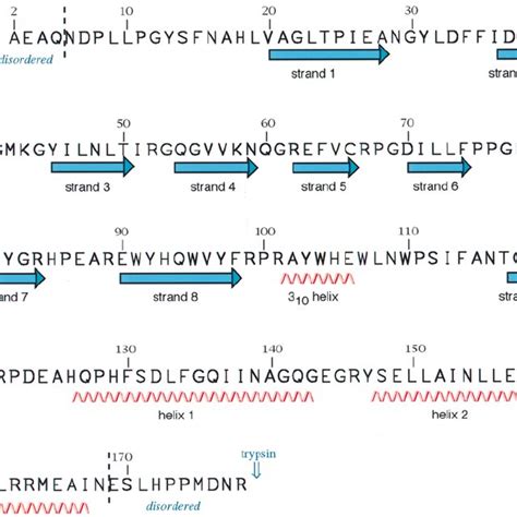 amino acid sequence and corresponding secondary structure assignments download scientific
