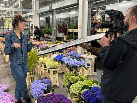 Eliza Returns To Covent Garden For Research