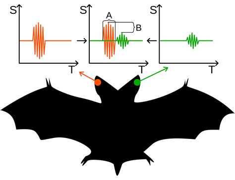 Interaural Time Difference Introduction To Sensation And Perception