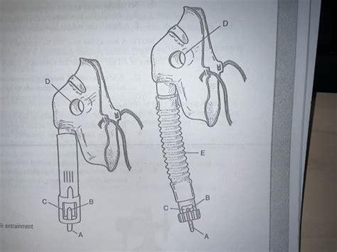 Modalities And Interfaces Flashcards Quizlet